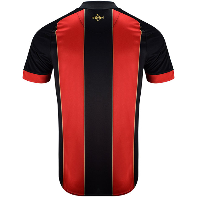 Mens Unsponsored Home Shirt 24/25